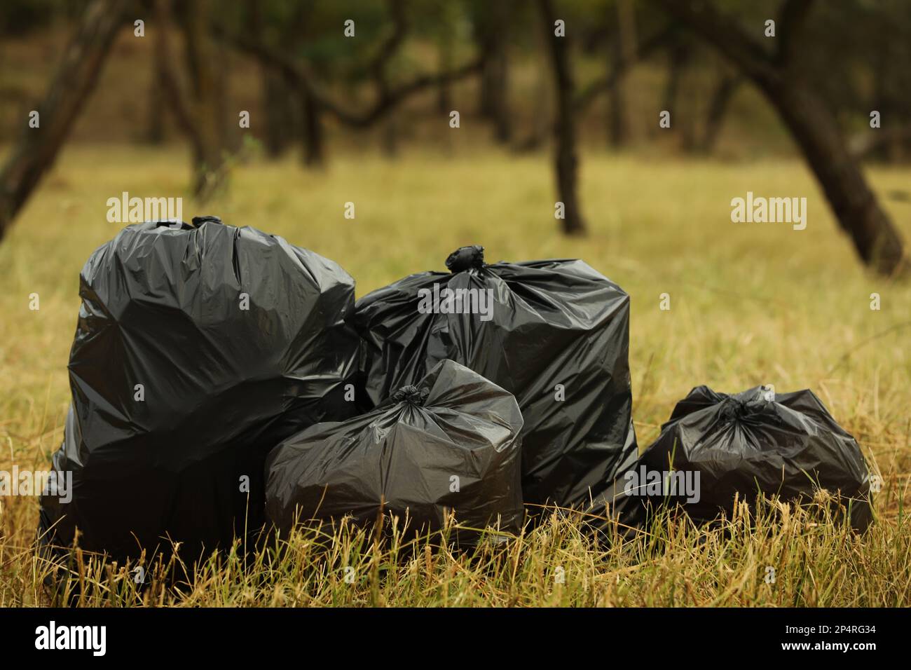 Trash bags full of garbage on grass outdoors Stock Photo - Alamy