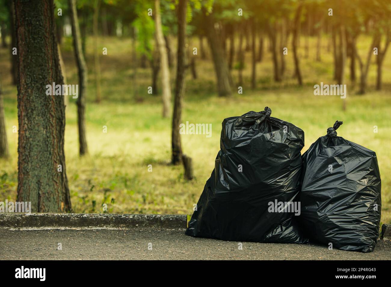 Trash bags full of garbage on pavement in park. Space for text Stock ...