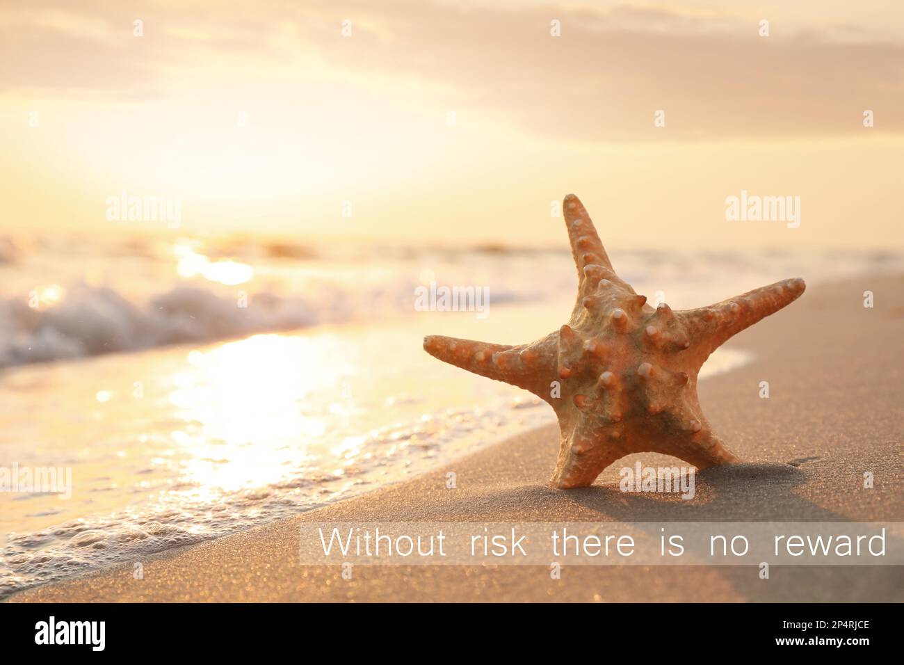 Without Risk There Is No Reward. Inspirational quote motivating to be ...
