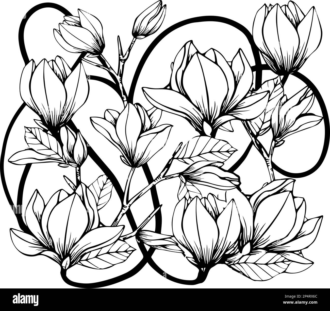 Hand drawing flower Stock Photo - Alamy
