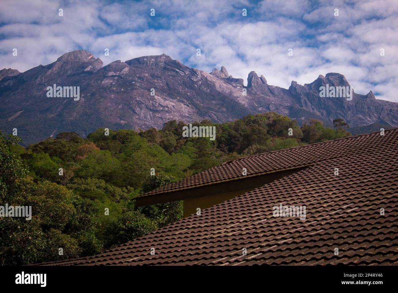 Mount Kinabalu peak surrounded by green cover of tropical rainforest ...