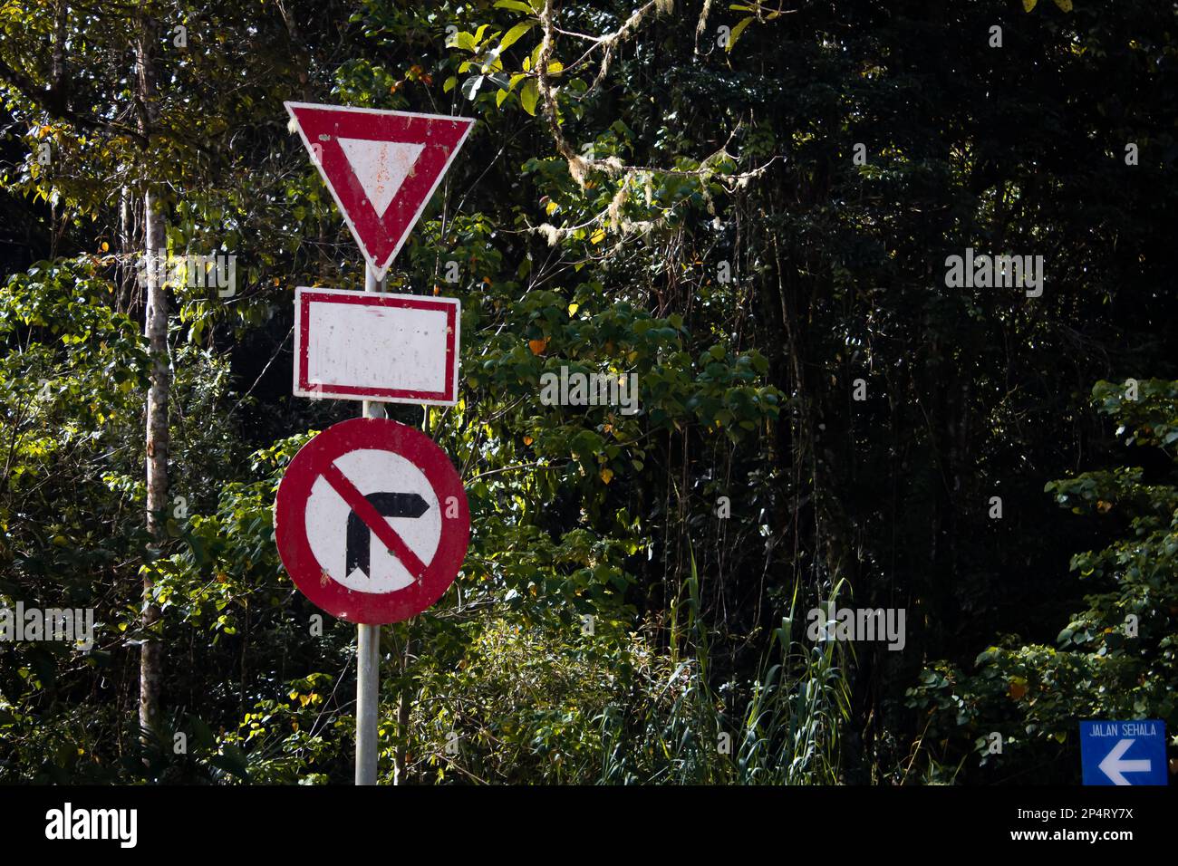 Road sign indicating no right turn allowed and to yield to the incoming ...