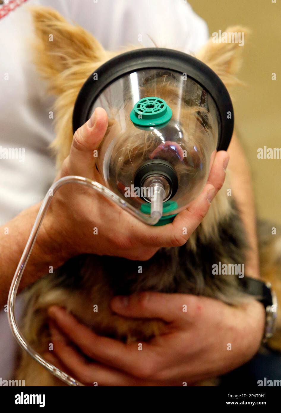 Northport Fire Service spokesman Capt. Jason Norris demonstrates how a ...