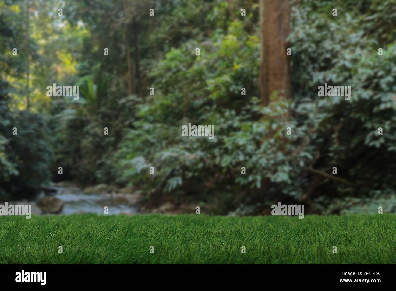 Grass table top podium floor outdoors blurred green tropical forest ...