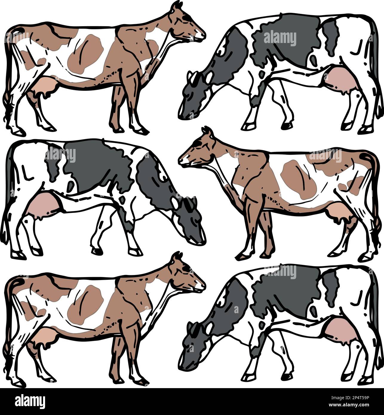Dairy Cow Herd Silhouette Clip