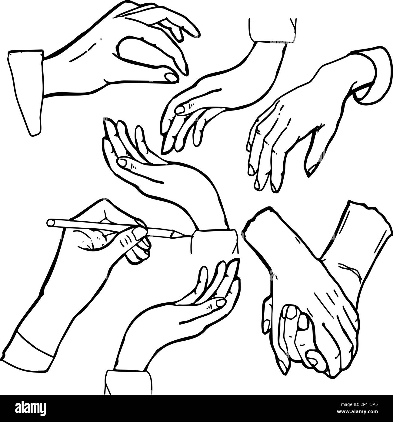 hand drawn vector illustration of a hands Stock Photo - Alamy