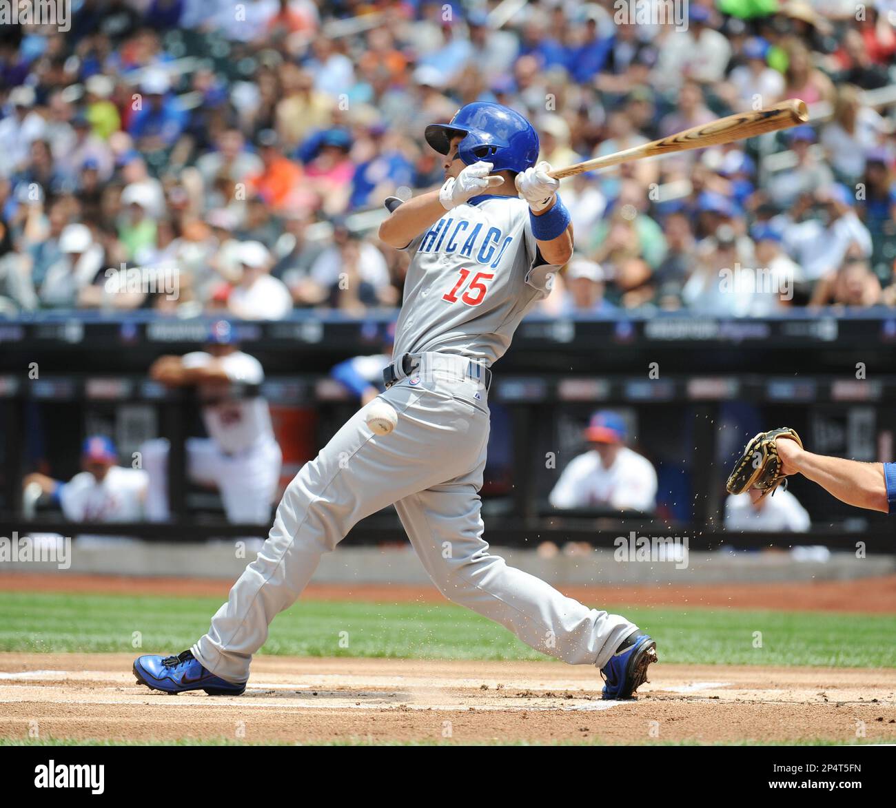 Chicago Cubs infielder Darwin Barney (15) during game against the New ...