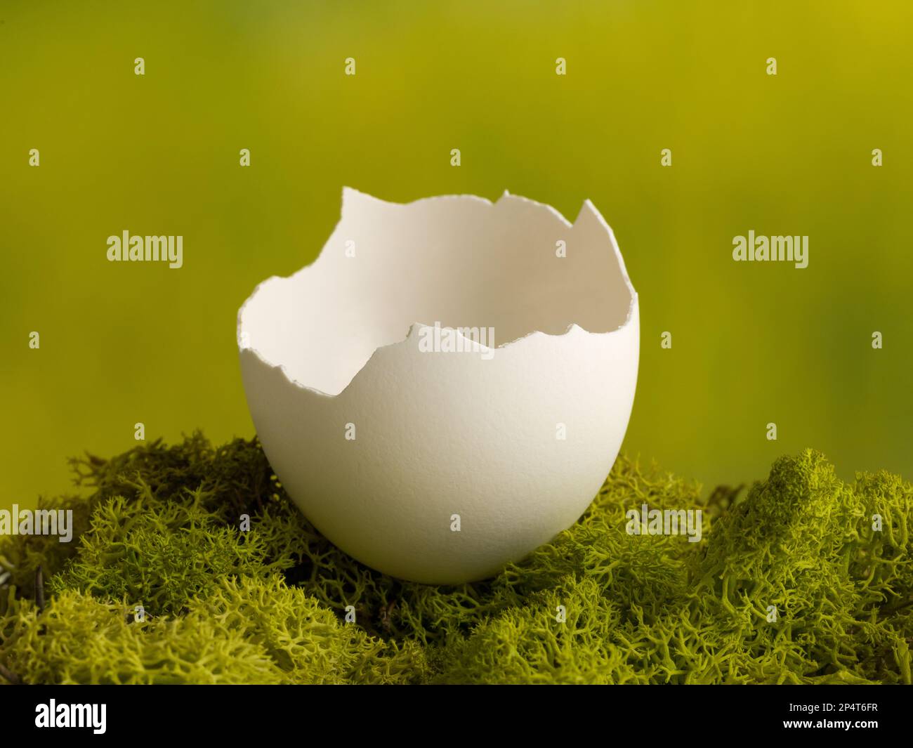 Bottom half open hi-res stock photography and images - Alamy