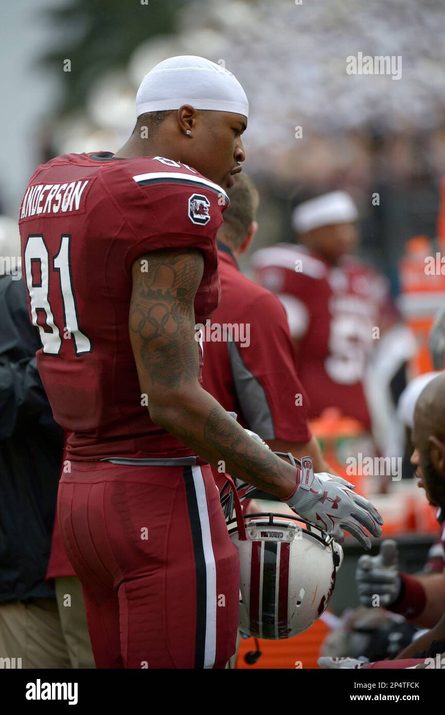 South Carolina tight end Rory Anderson (81) talks to teammates on the ...