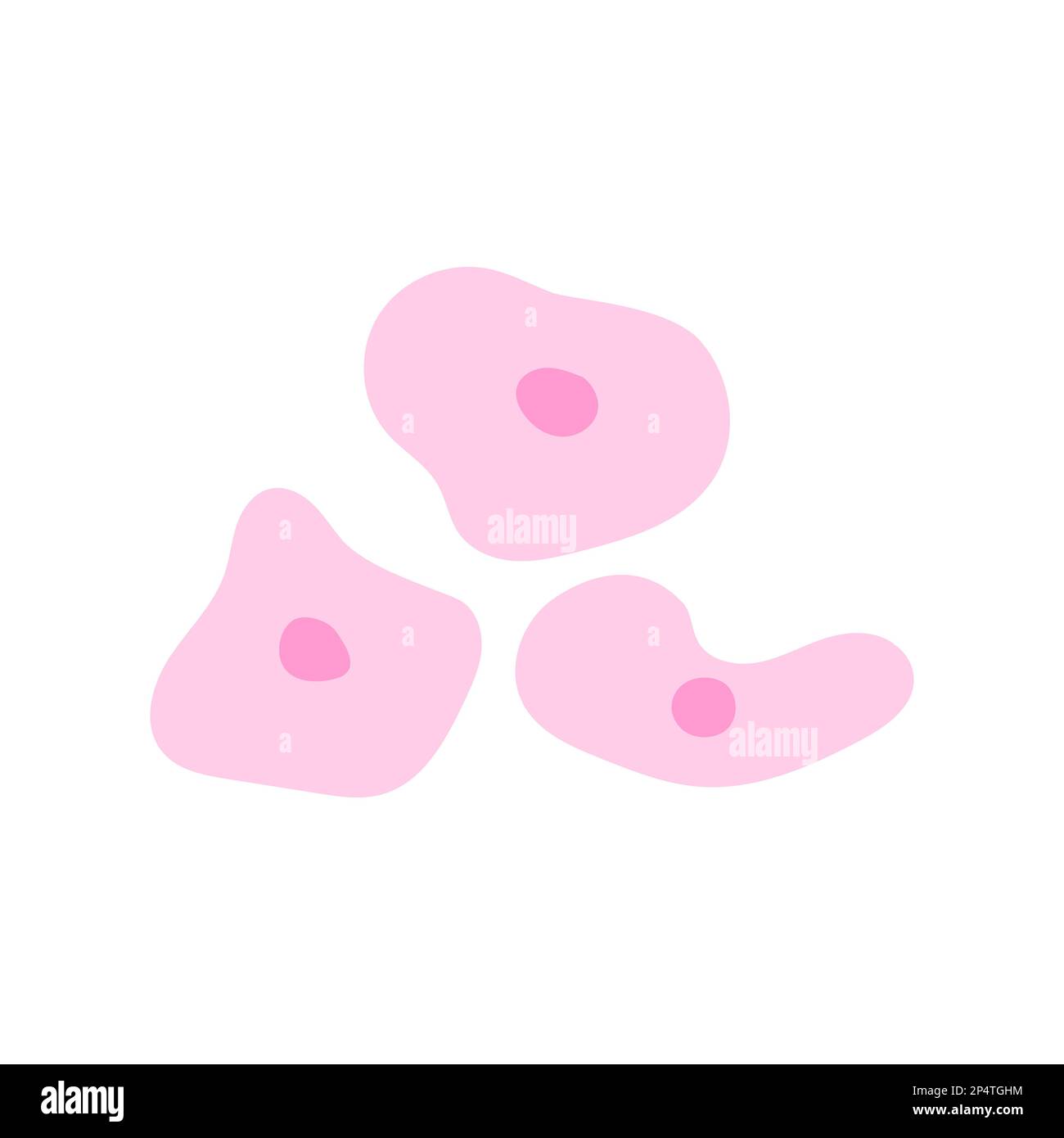 Human stem cell icon for medical design Stock Vector Image & Art - Alamy