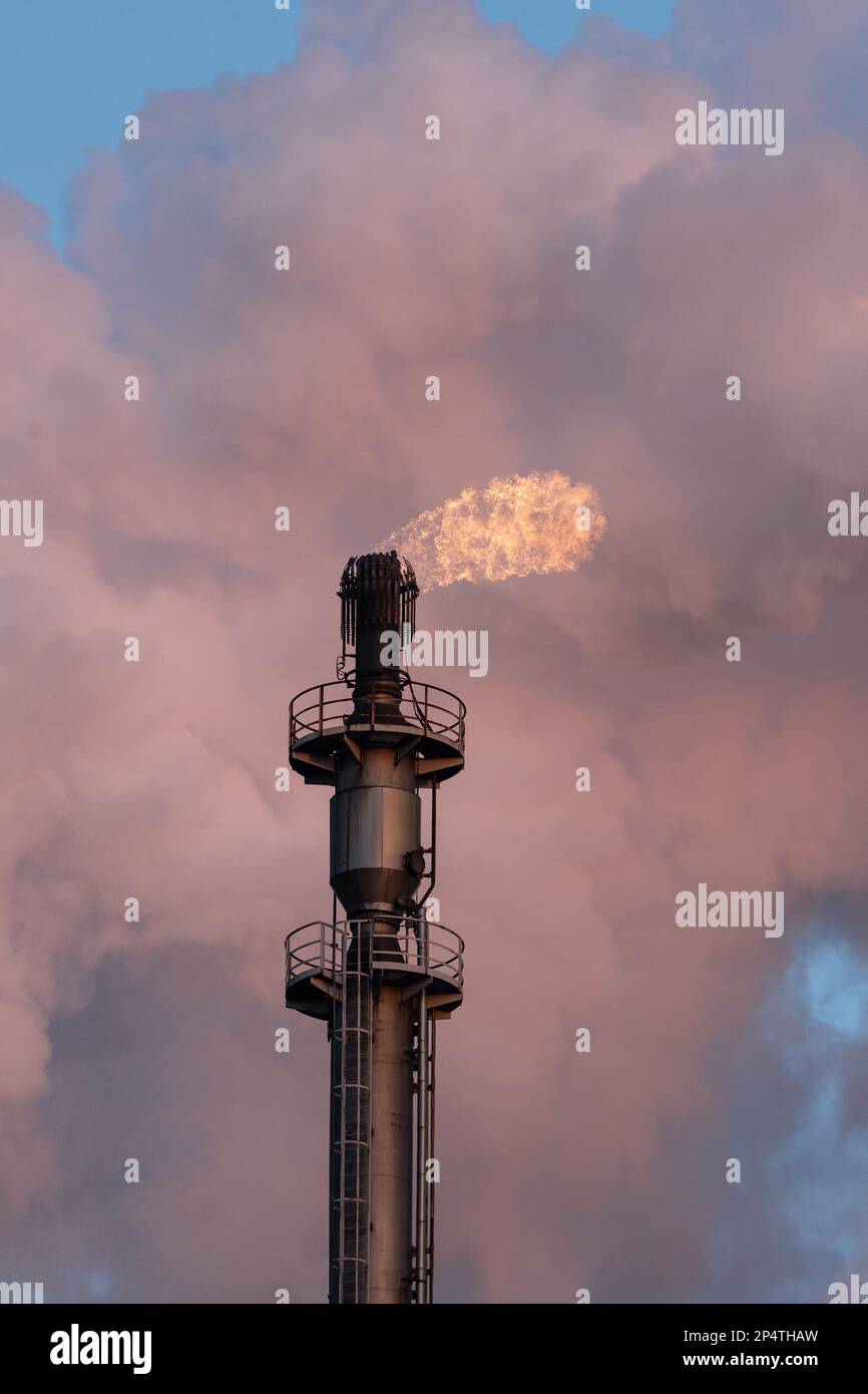 High torch hi-res stock photography and images - Alamy