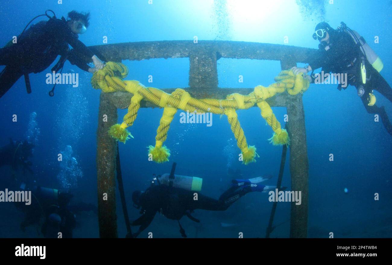 Scuba divers prepare a sacred rope at an underwater shrine gate (torii ...