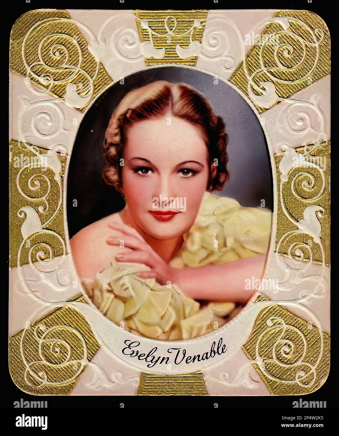 Portrait of Evelyn Venable - Vintage German Cigarette Card Stock Photo - Alamy