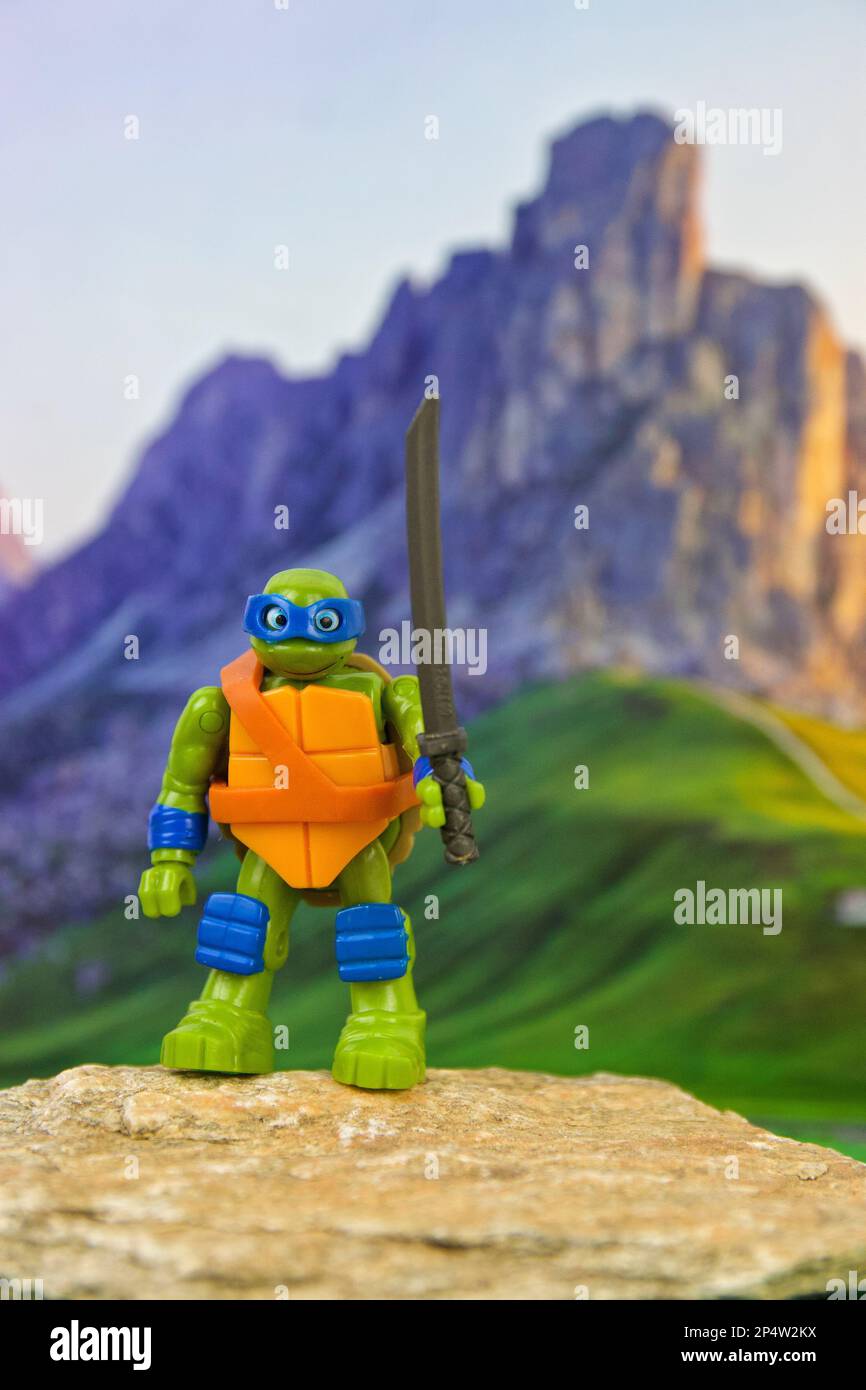 An adorable toy turtle stands resolutely in front of a rocky landscape ...