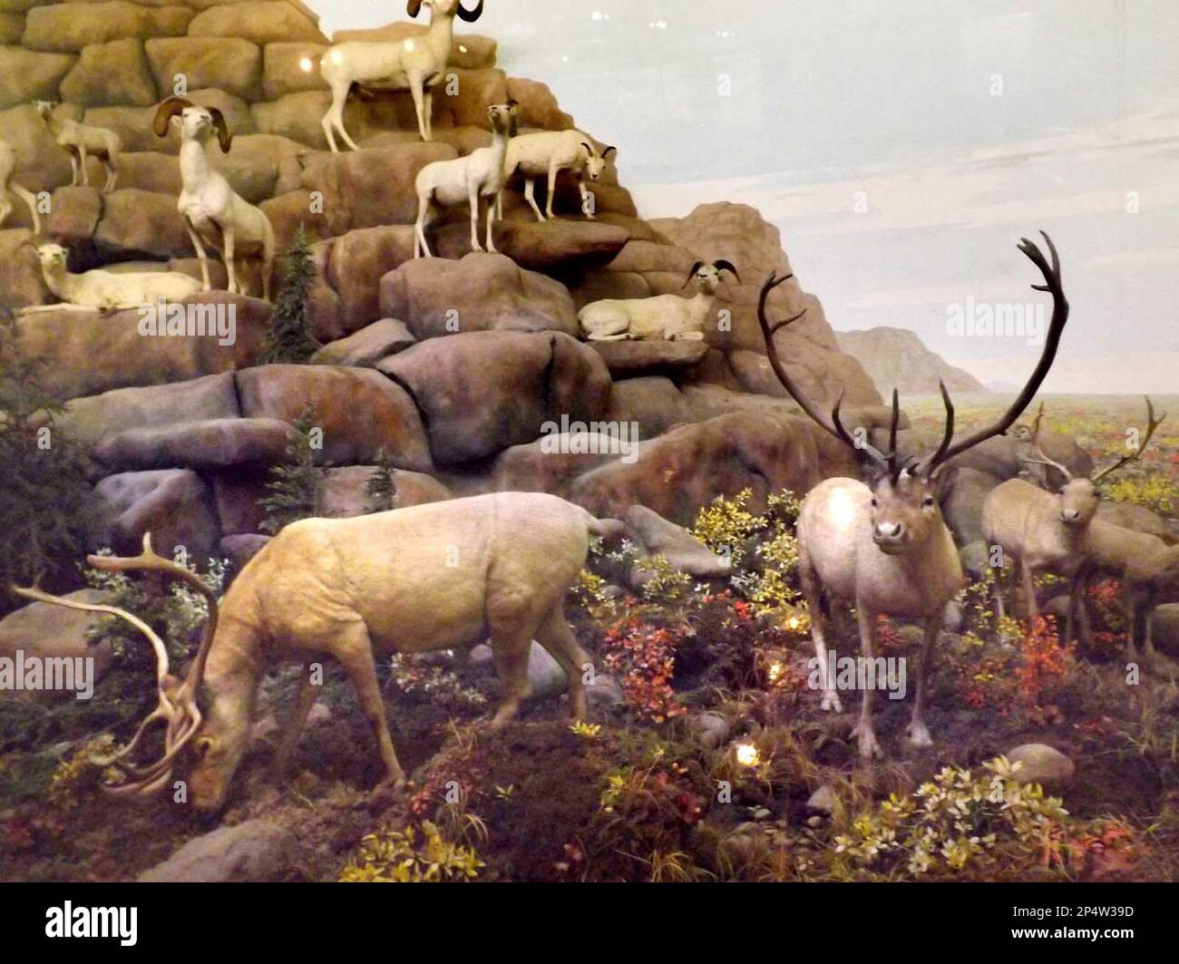 The Panorama had its start at the 1893 World's Fair, and a few years ...