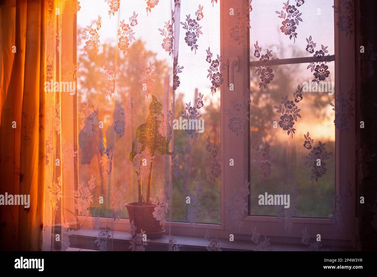 Sunlight falling through a window with a see-through curtain, with a ...