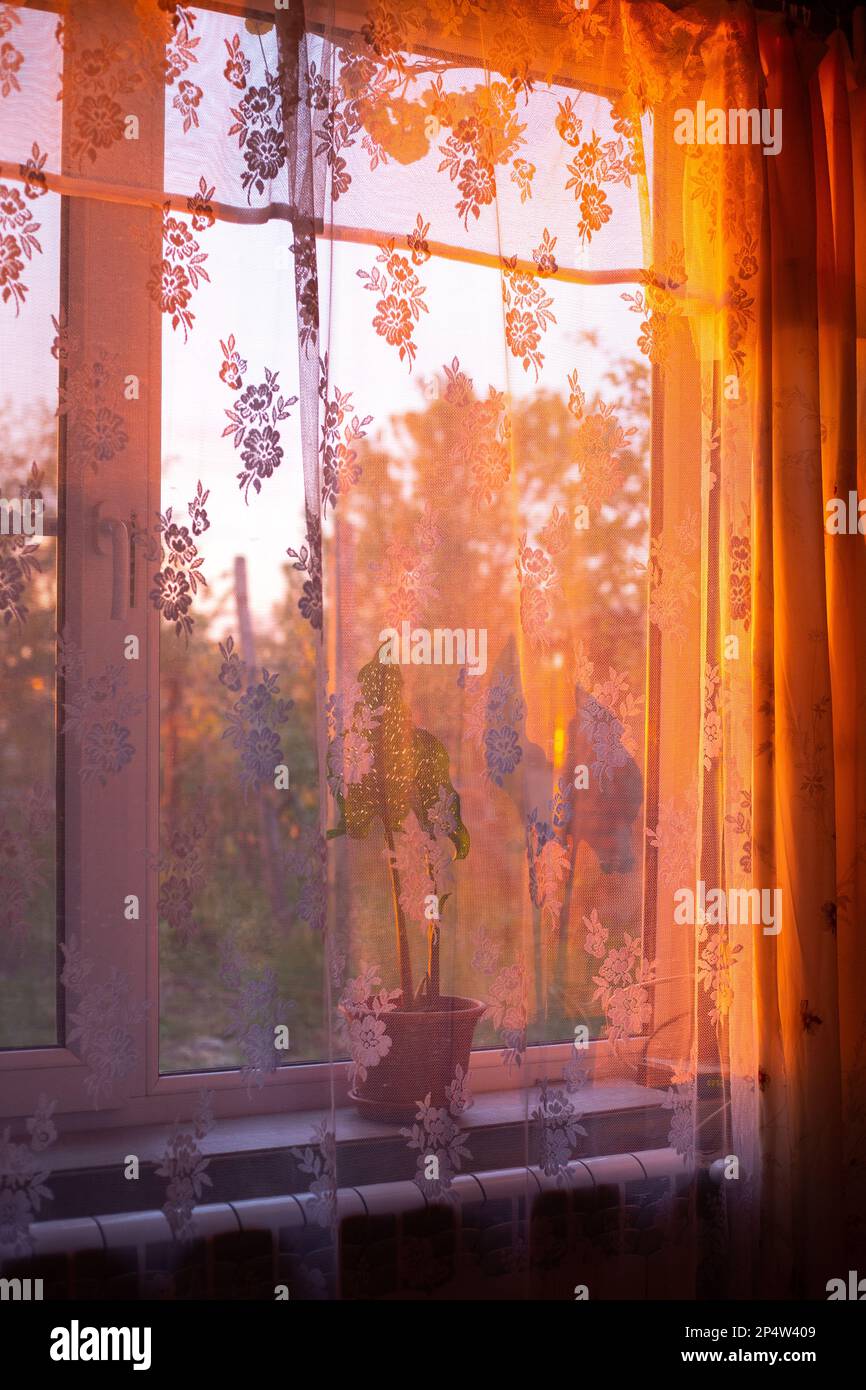 The sun's rays at sunset shine through the window, illuminating the ...