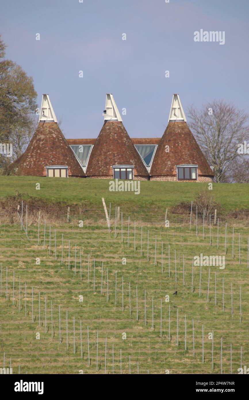 oast houses in Sussex Stock Photo - Alamy