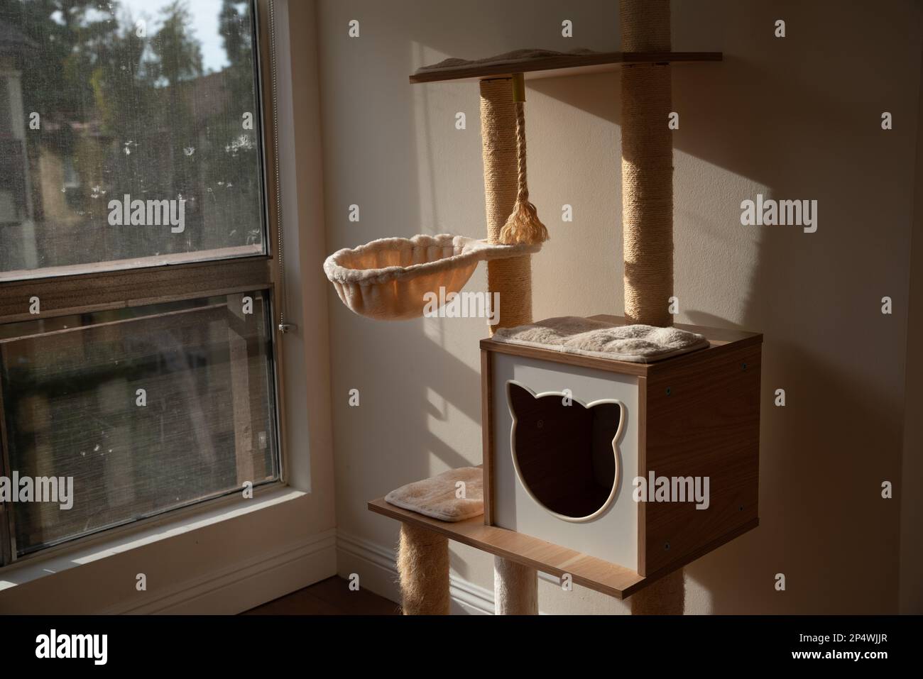 wooden cat tree in modern house. A cat tree is an artificial structure ...