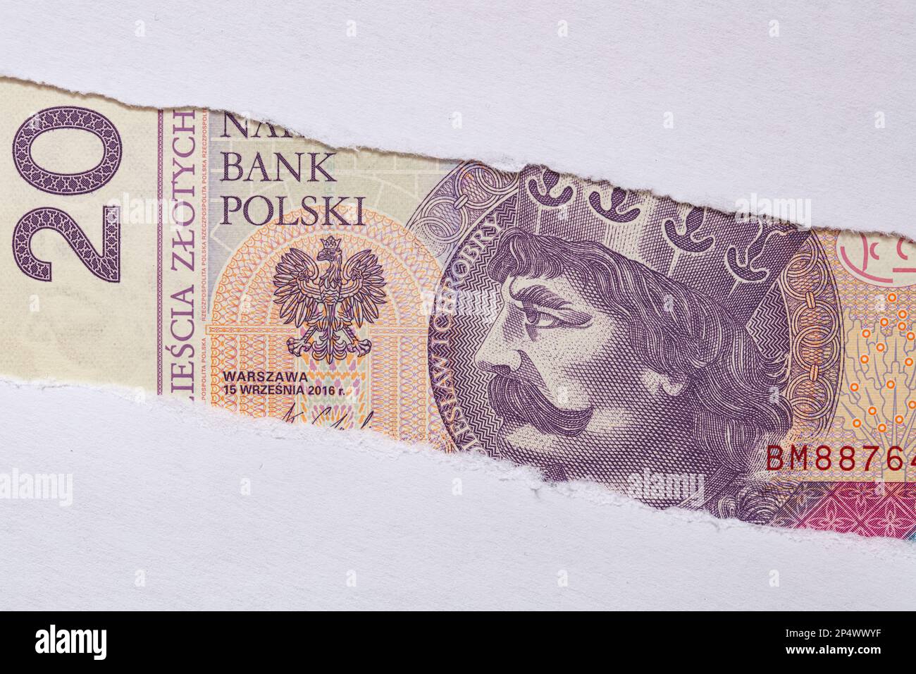 Polish 20 Złotych banknote in torn paper hole for design purpose Stock ...