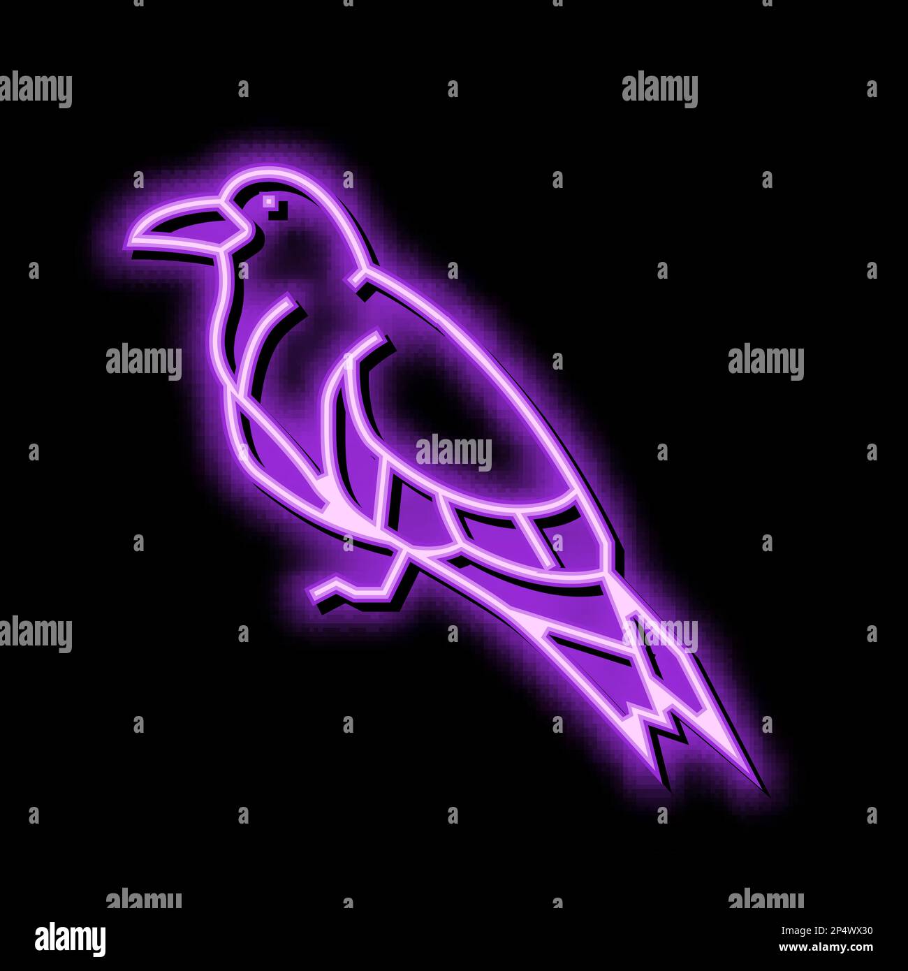 inca tern bird exotic color icon vector illustration Stock Vector Image ...