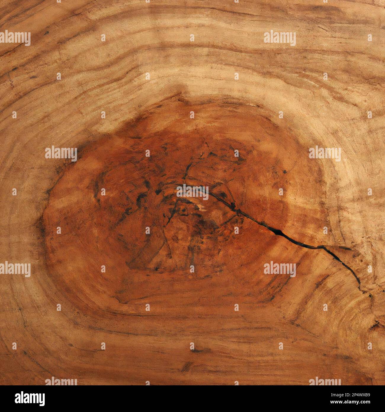 texture cut of old wood transverse Stock Photo - Alamy