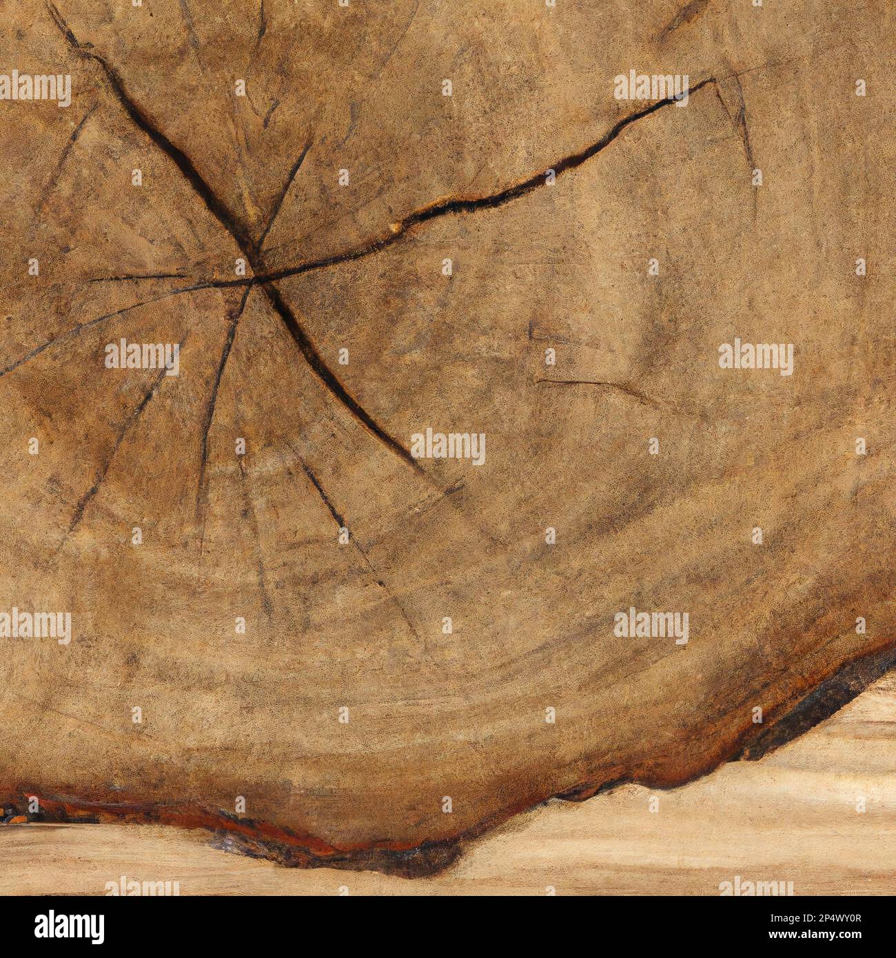 texture cut of old wood transverse Stock Photo - Alamy