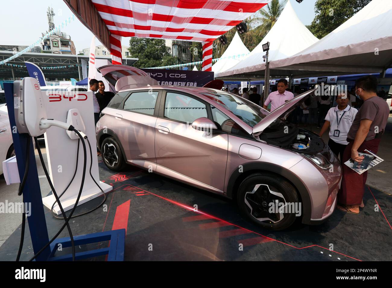 Byd dolphin hi-res stock photography and images - Alamy