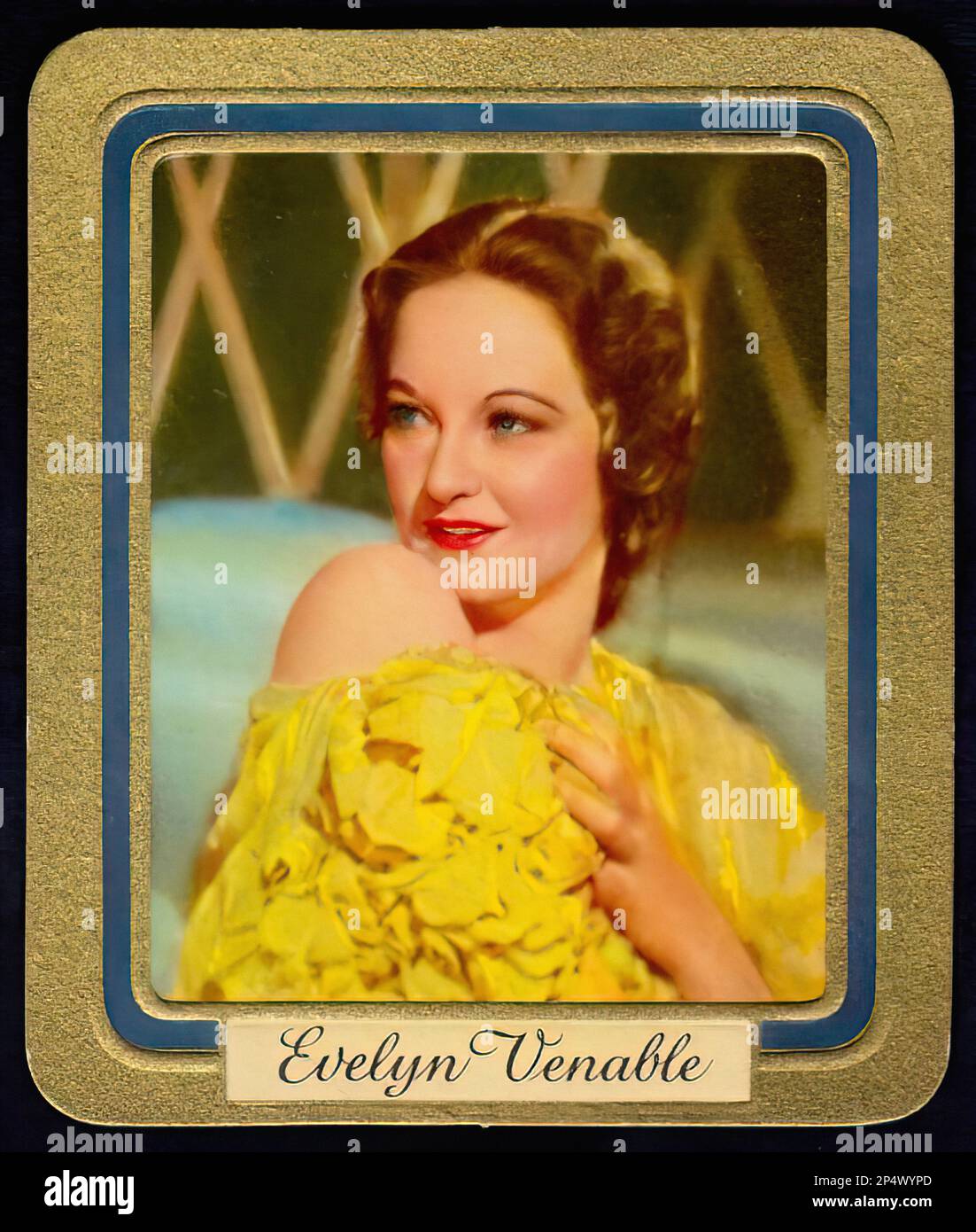 Portrait of Evelyn Venable - Vintage German Cigarette Card Stock Photo - Alamy