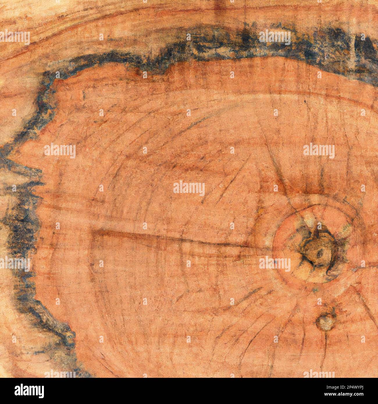 texture cut of old wood transverse Stock Photo - Alamy