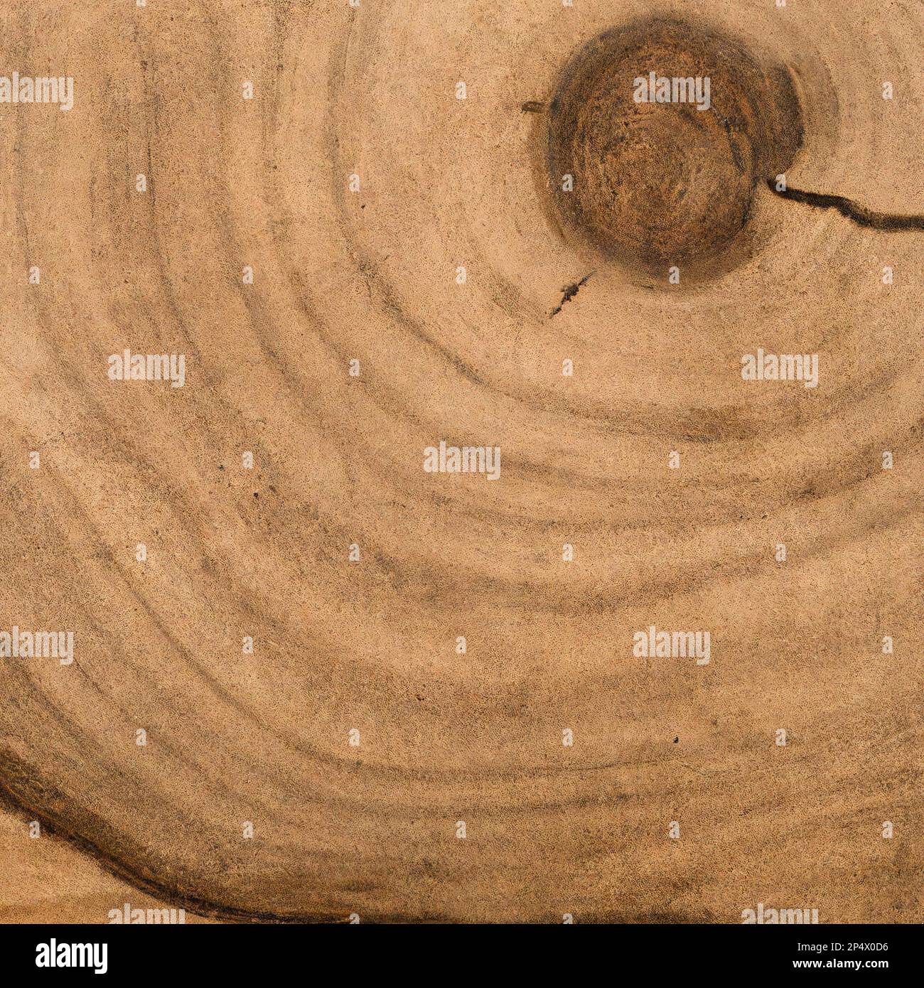 texture cut of old wood transverse Stock Photo - Alamy