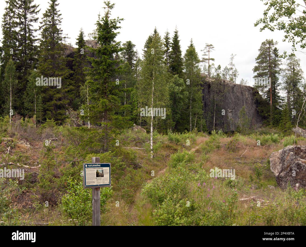 The biggest boulder in Sweden. An enormous block of stone from the last ...