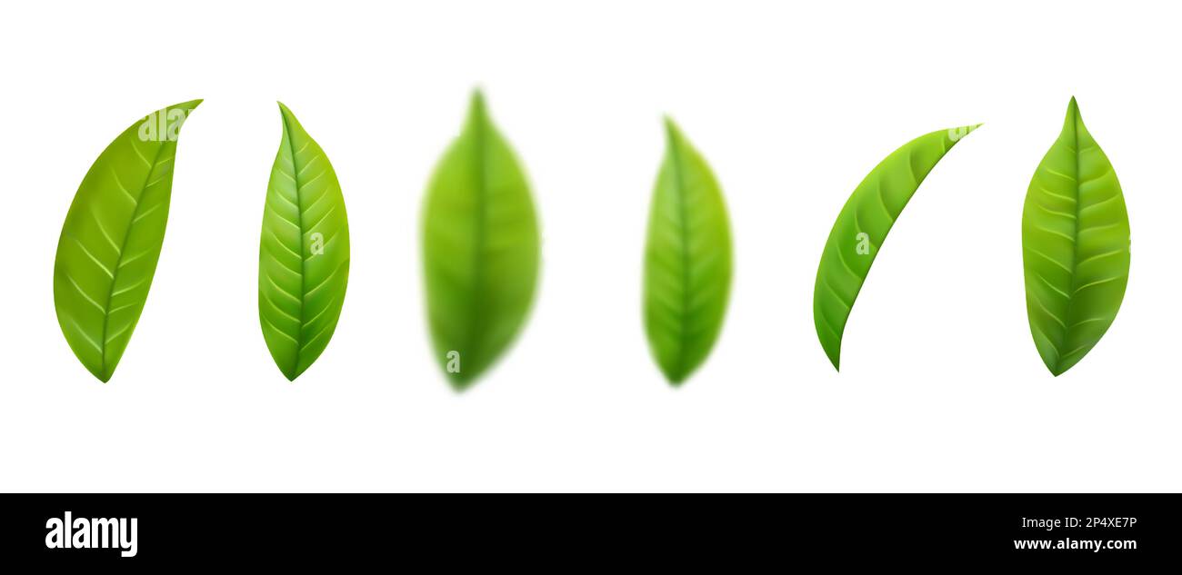 Tea realistic background composition Stock Vector Images - Alamy