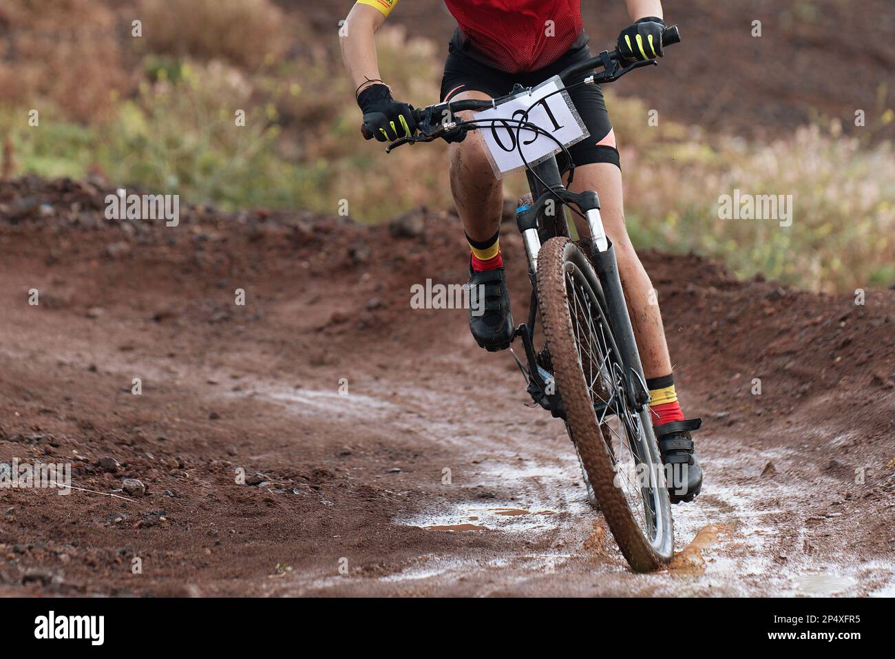 Mountain biker riding on bike singletrack trail, mountain bike race ...