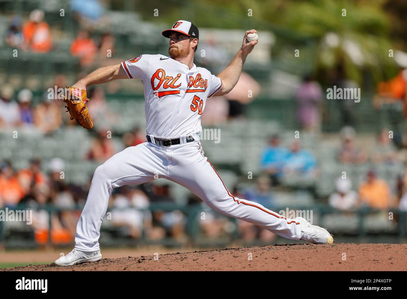 Sarasota FL USA; Baltimore Orioles starting pitcher Bruce Zimmermann ...