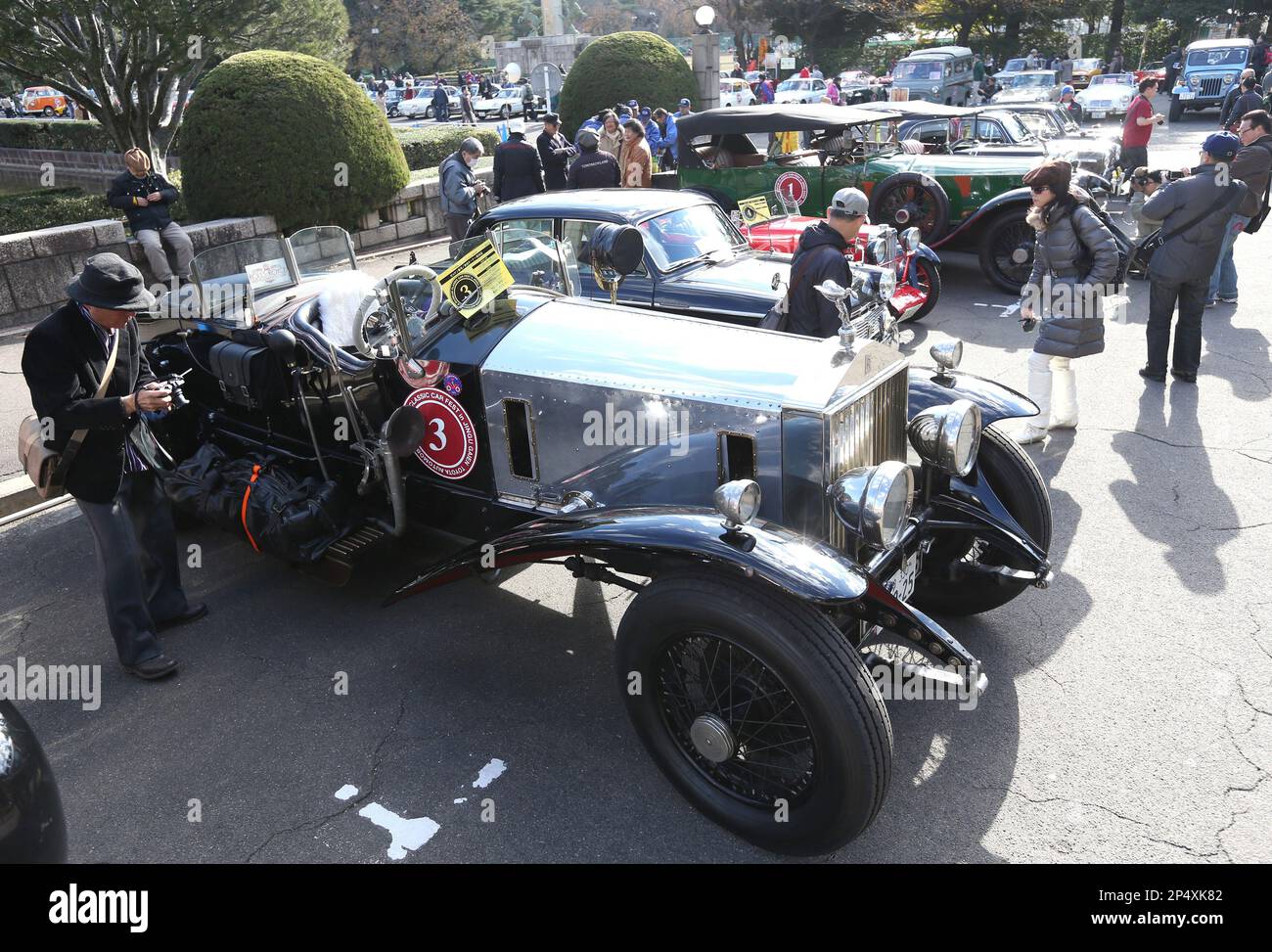 A hundred of classic cars park at the avenue of the ginko autumn trees ...