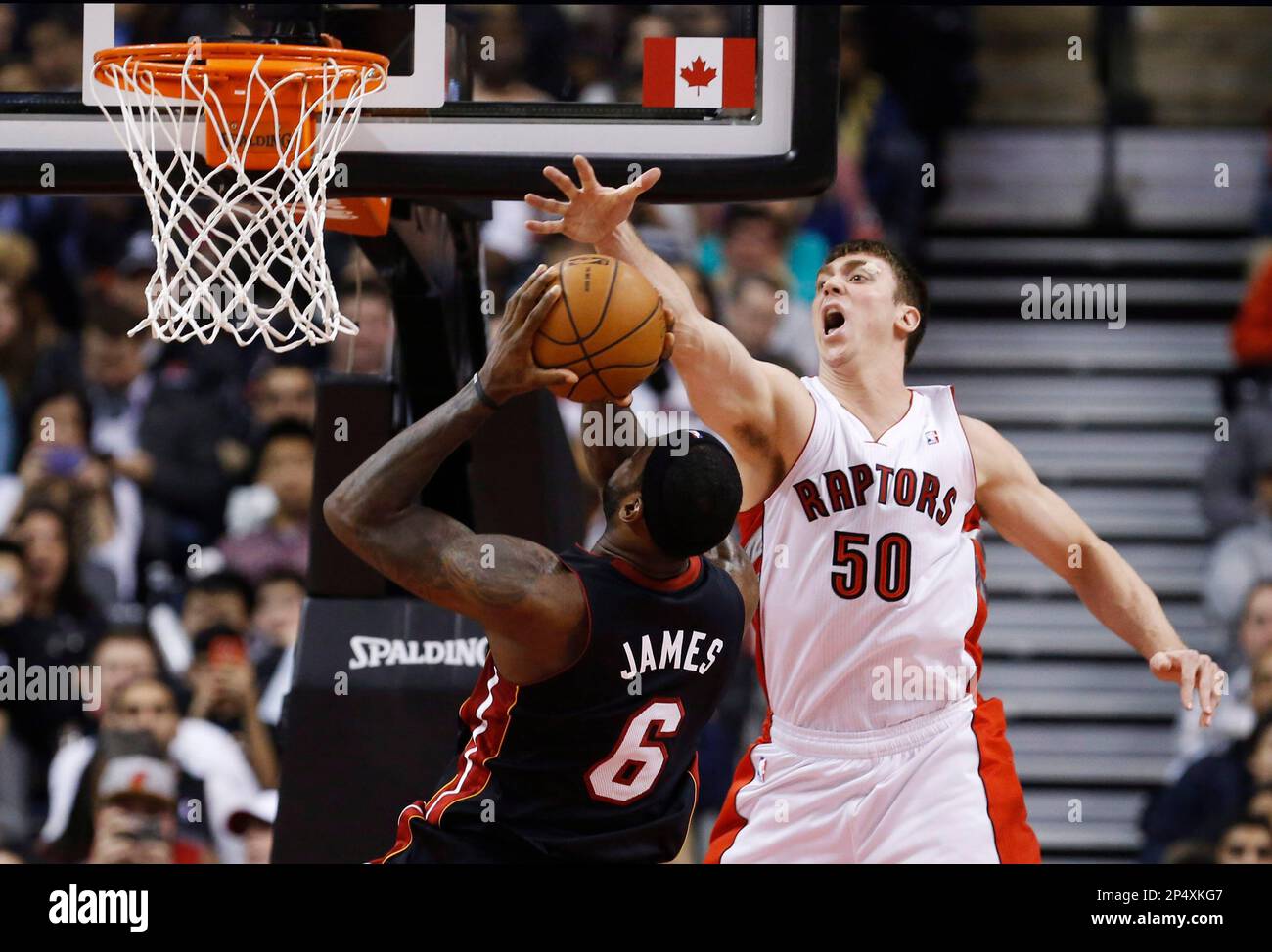 Tyler Hansbrough Raptors Dunk