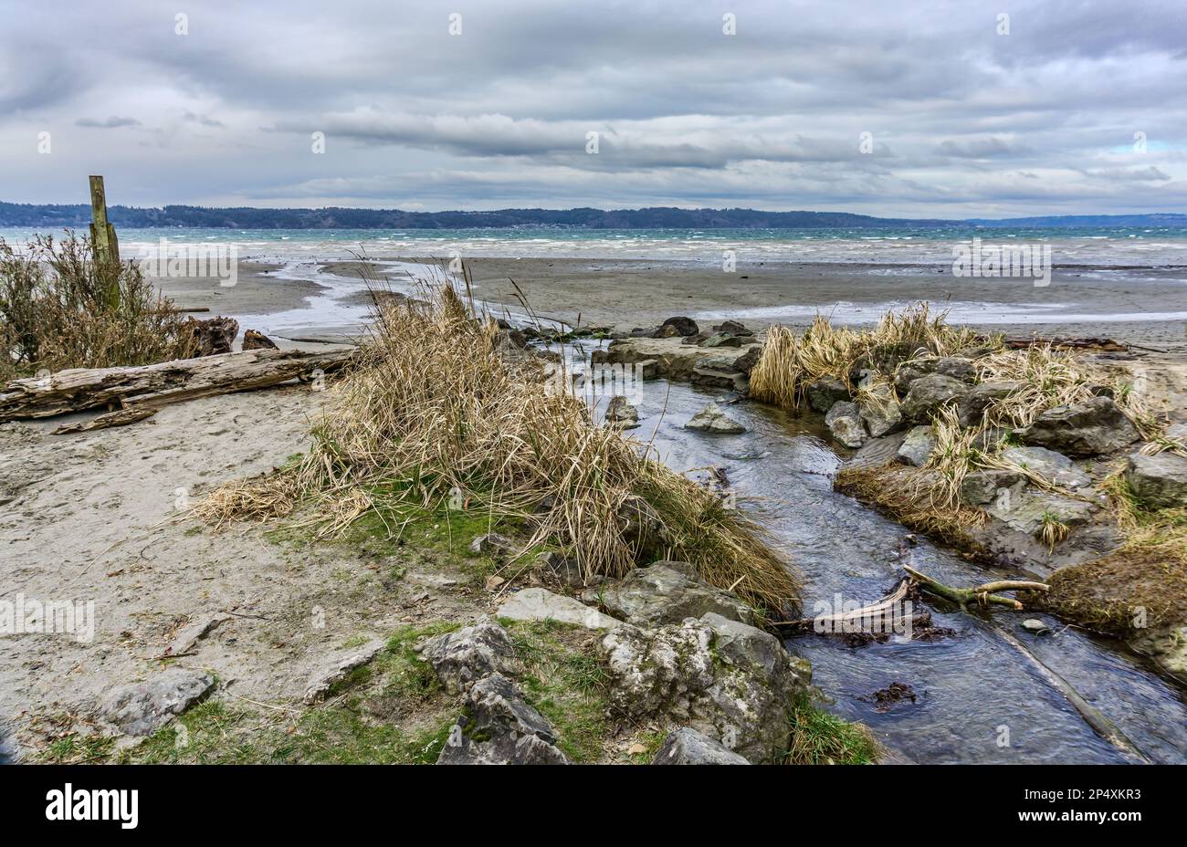 A stream flows into the Puget Sound at Dash Point State Park in ...
