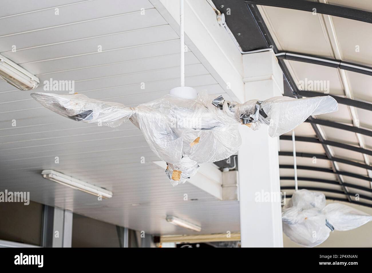 Metal and white ceiling and large fans are covered for open air ...
