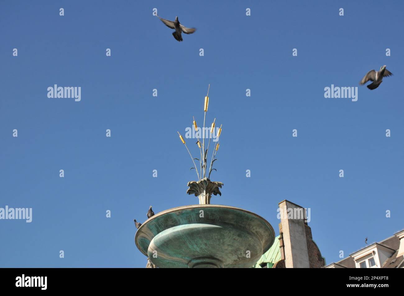 Gold stroke fountain hi-res stock photography and images - Alamy