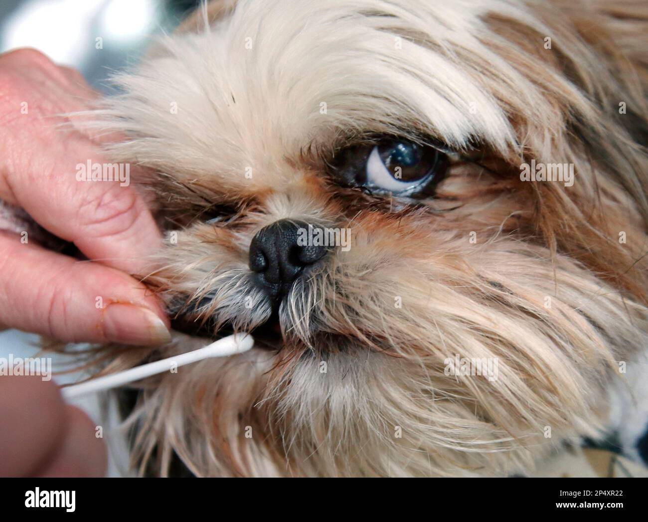 In this Thursday, Nov. 21, 2013 photo, Barbara Kansky, condo manager of ...