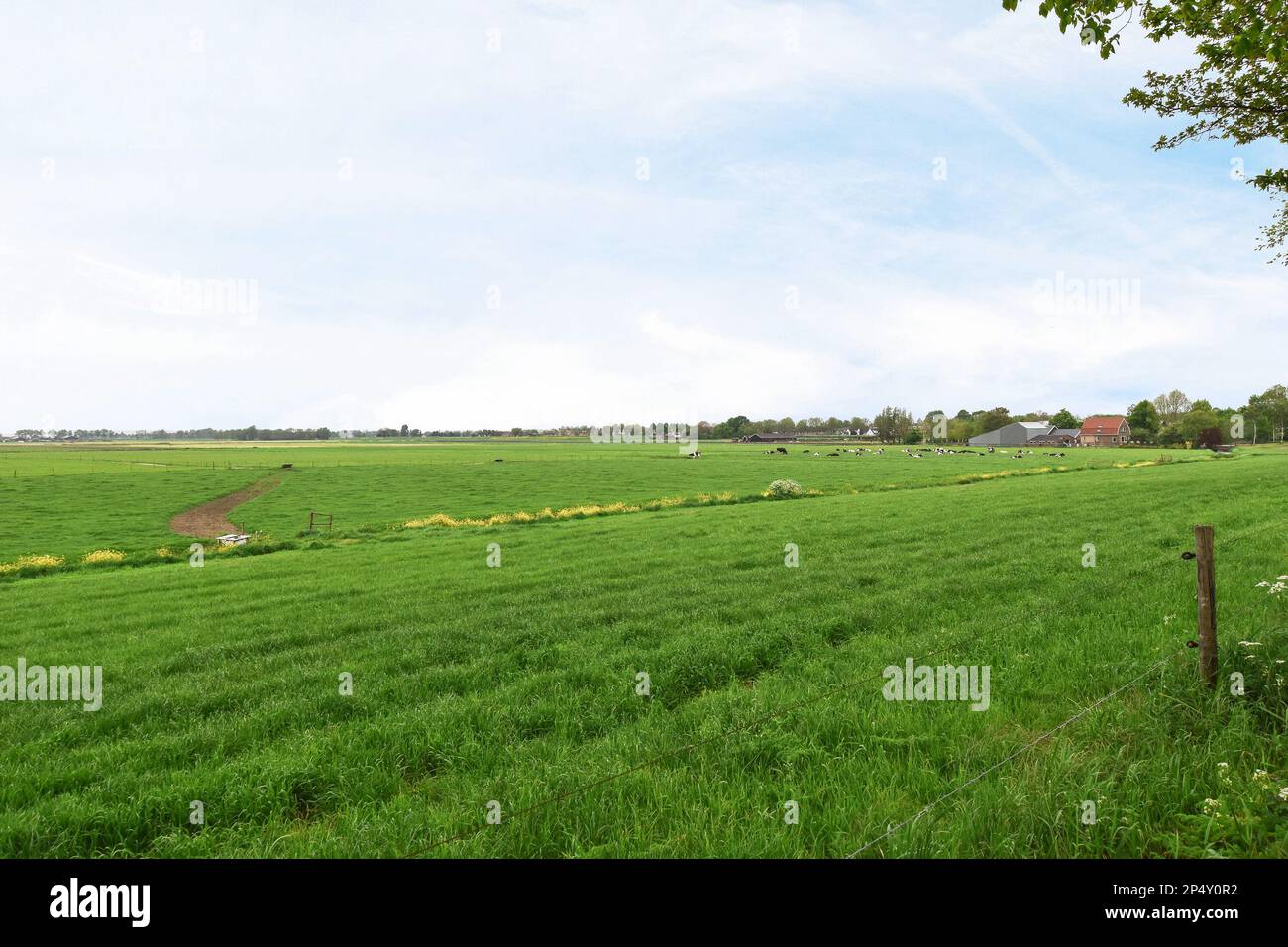 Amsterdam, Netherlands - 10 April, 2021: a green field with houses in ...
