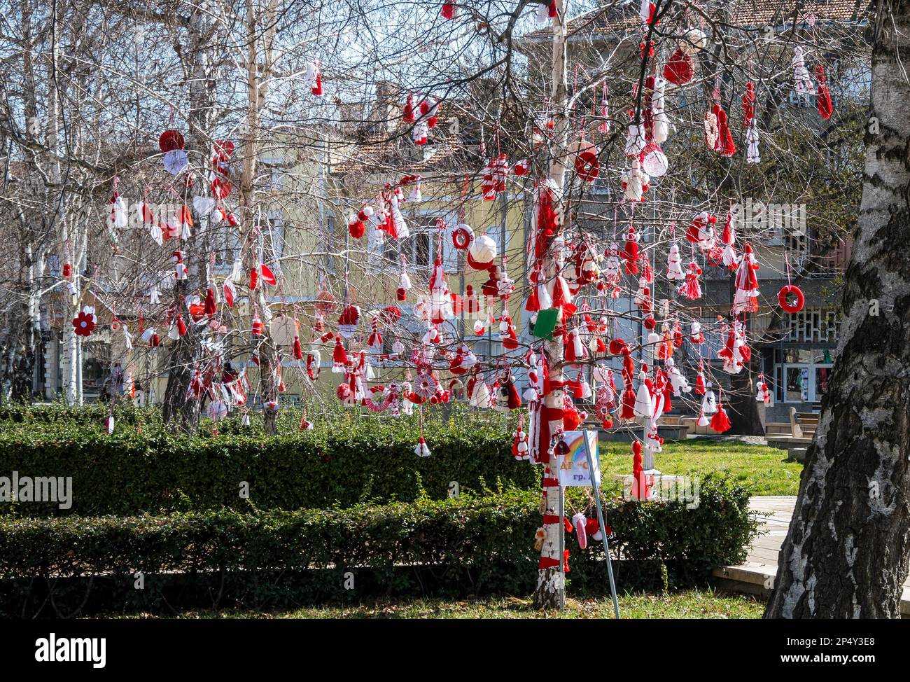Baba Marta Bulgaria Yambol March 6th 2023: Martenitsas made from yarn ...