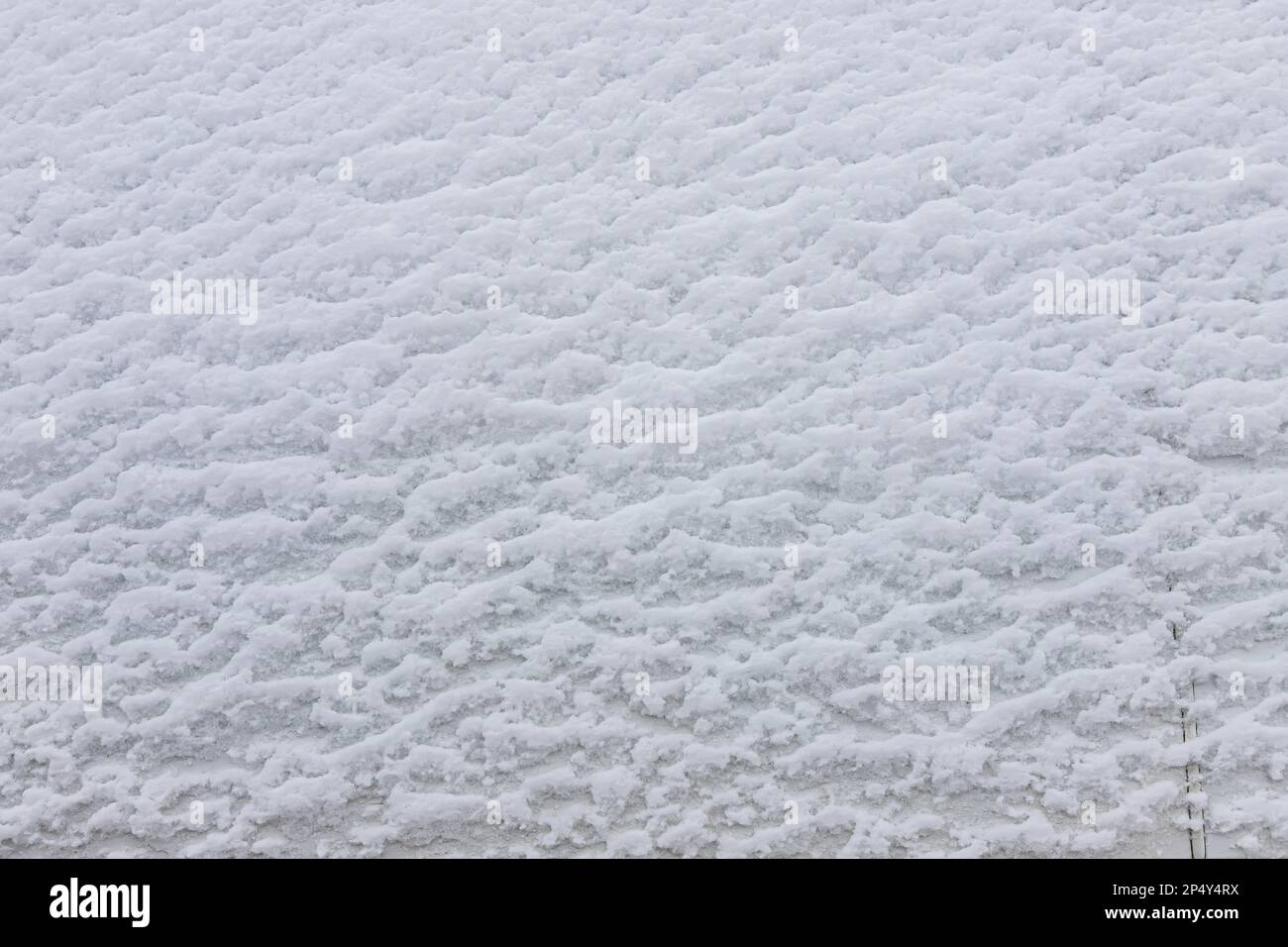 Beautiful winter background with snowy ground. Natural snow texture ...