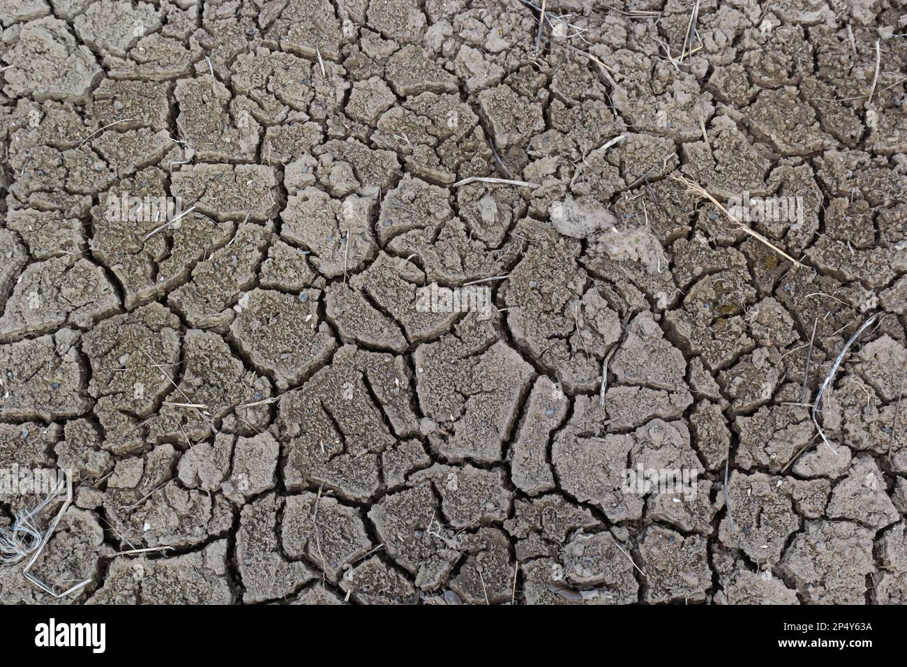 The cracked ground, Ground in drought, Soil texture and dry mud, Dry ...