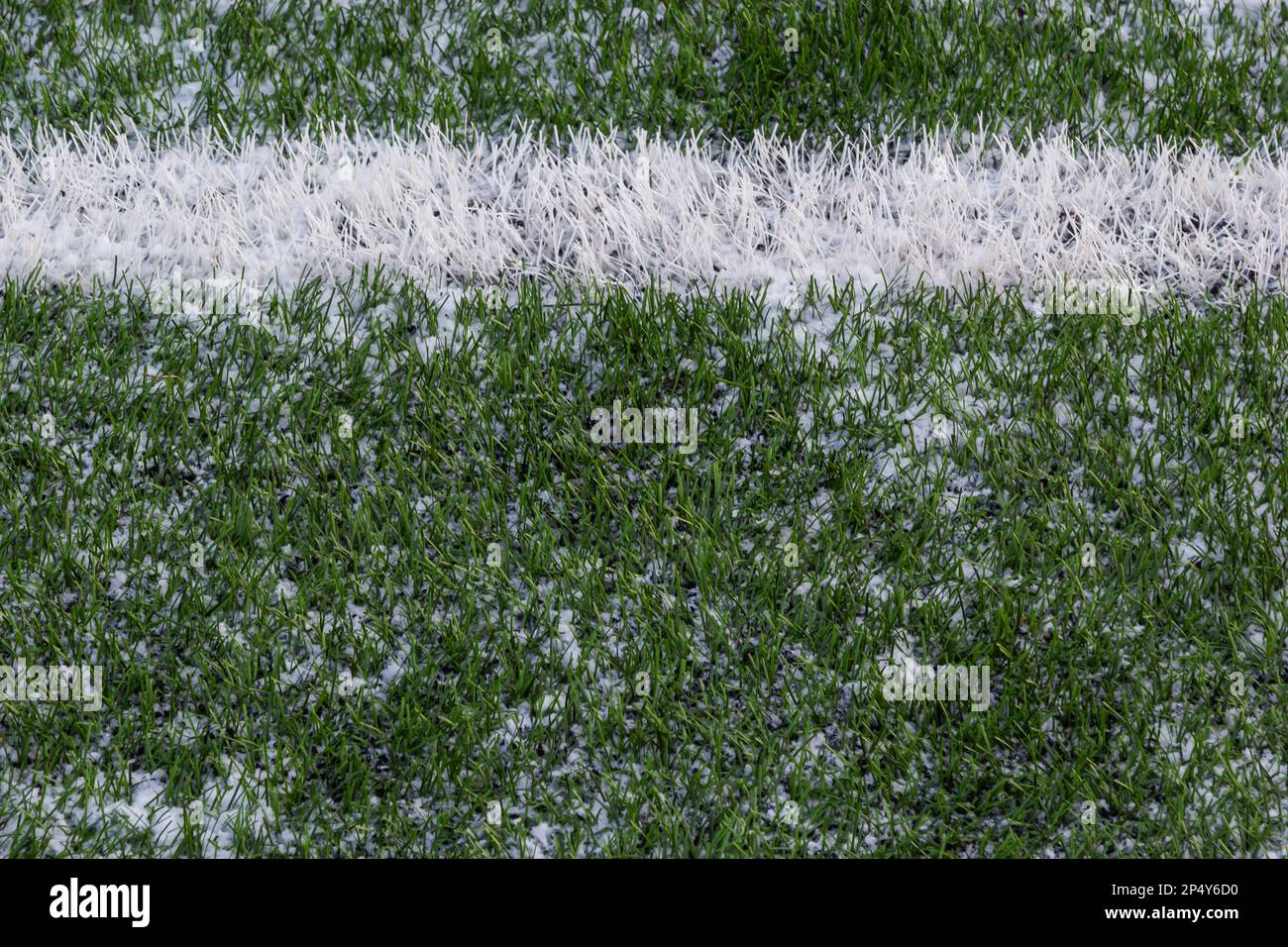 The football field with artificial green grass is covered with a light ...