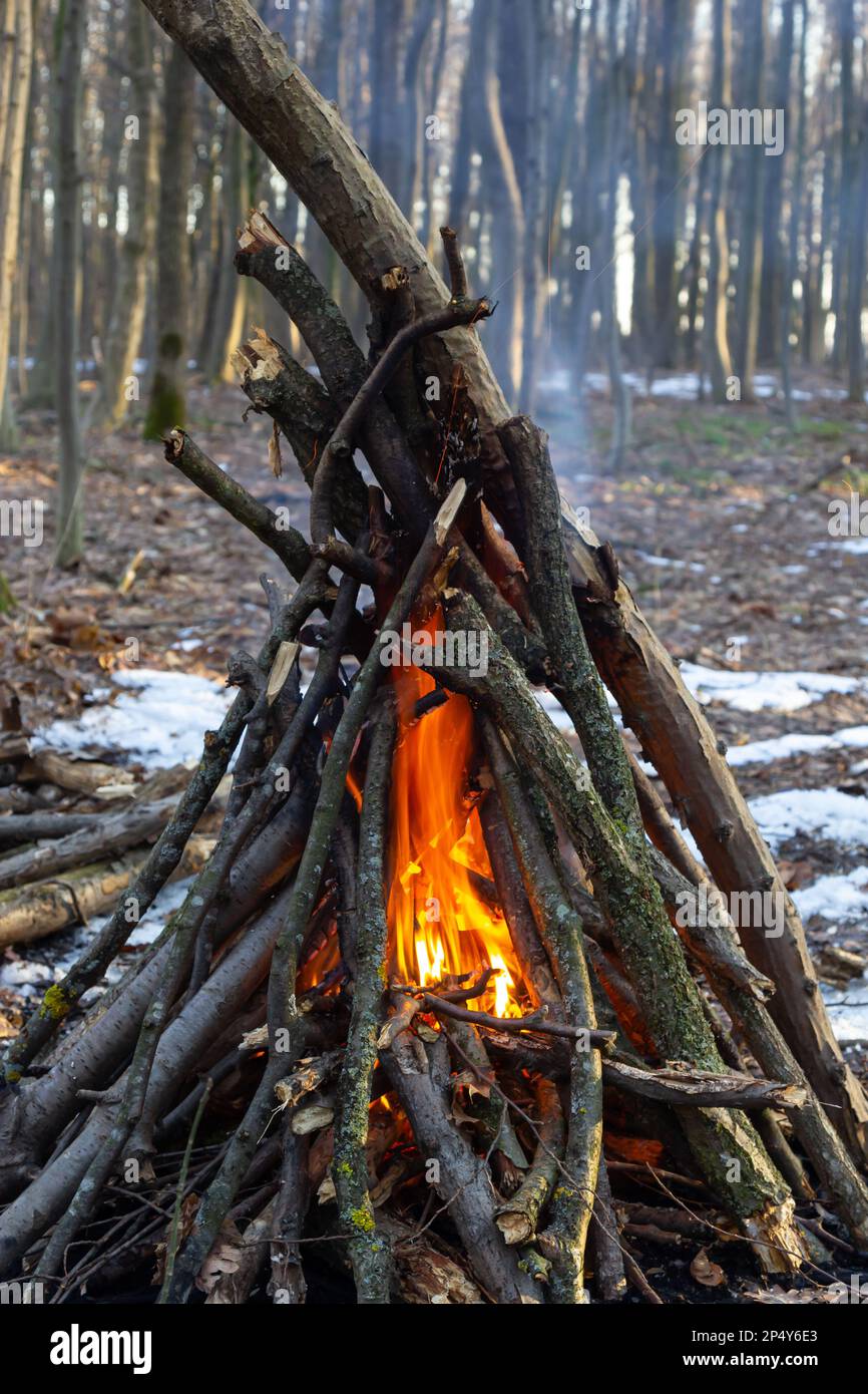 Campfire in the spring forest. Rest on the weekend. Danger of forest ...