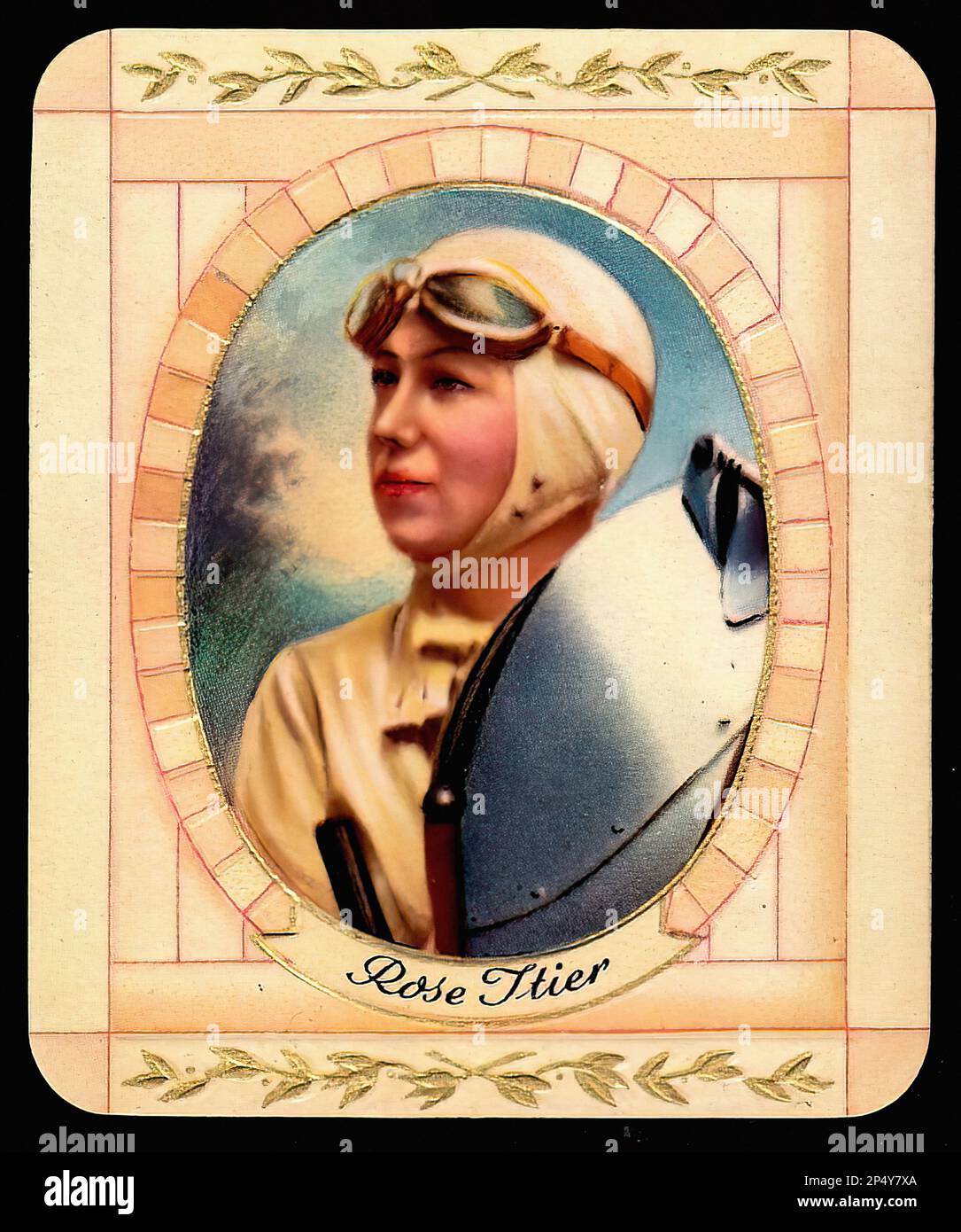 Portrait of rose hi-res stock photography and images - Alamy