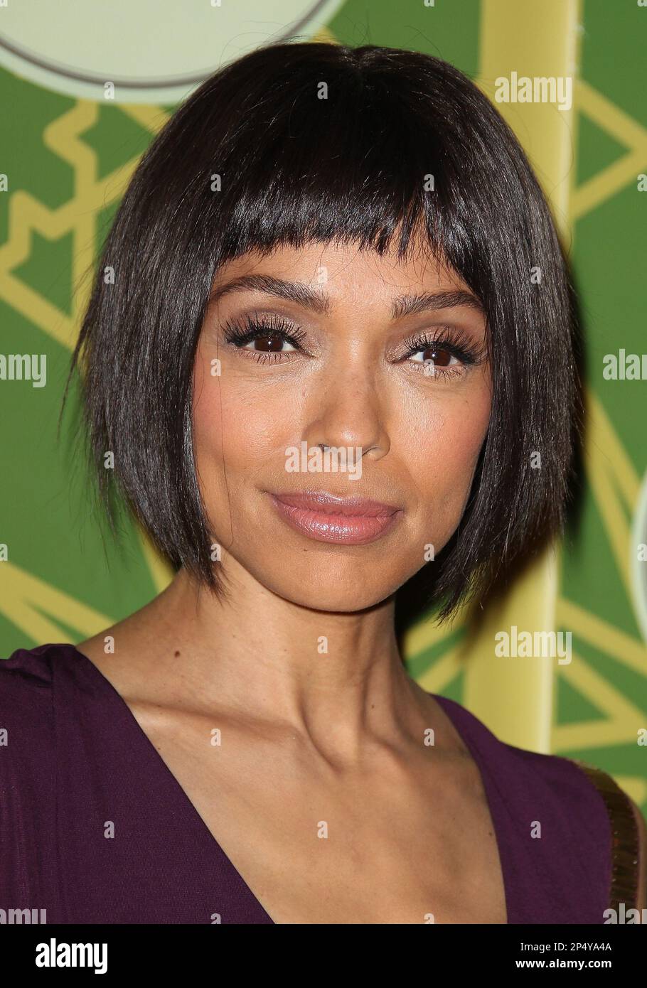 Tamara Taylor arrives at Fox's All-Star Party at Castle Green on ...