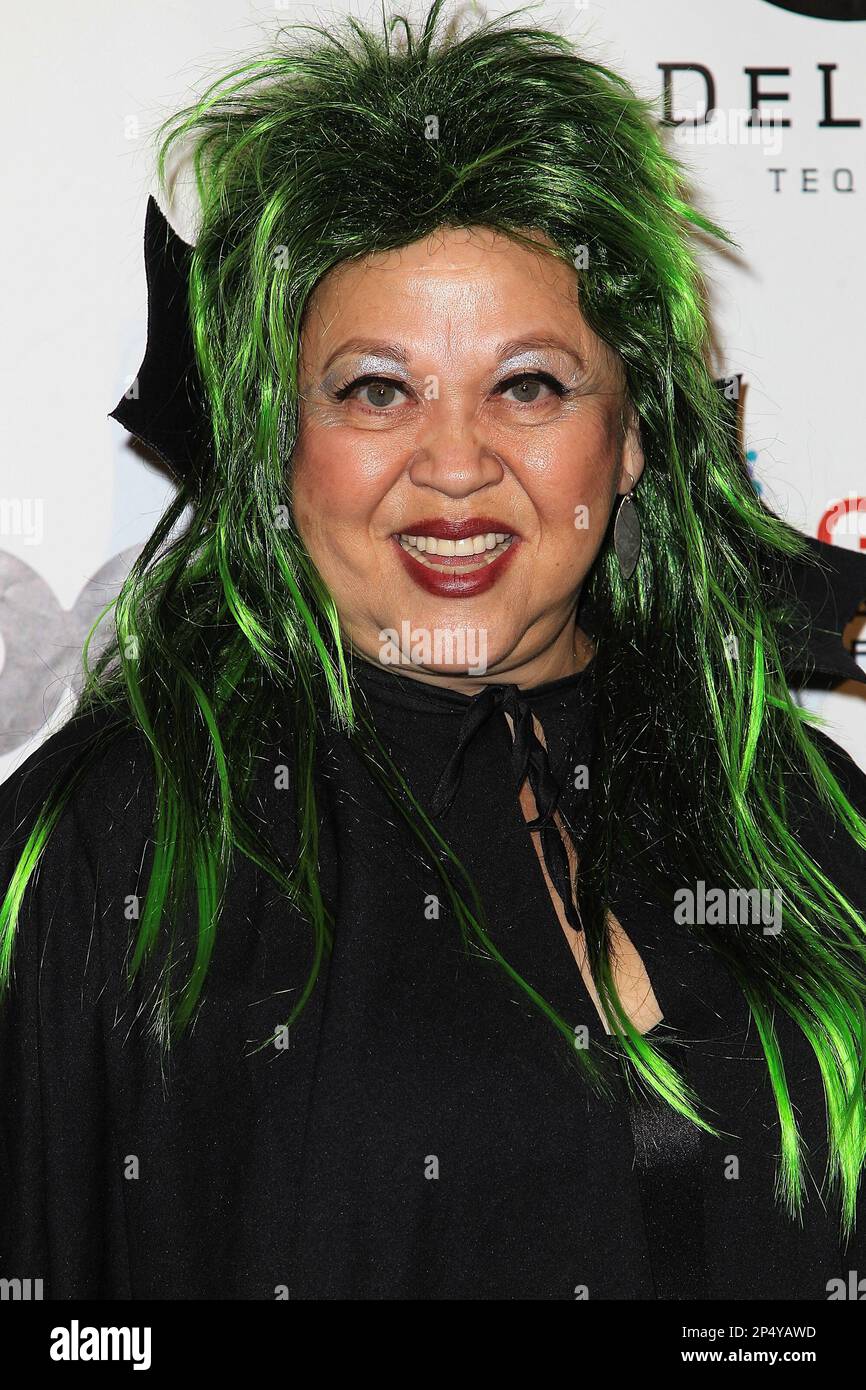 Amy Hill attends Fred & Jason's Annual Halloweenie Celebrity Charity ...